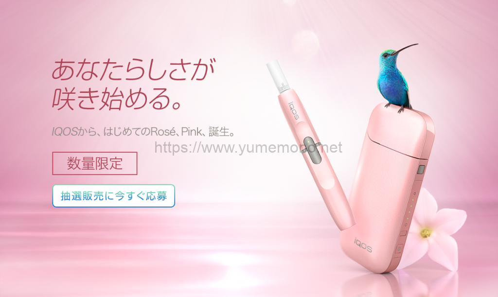 iQOS(アイコス)に新しい限定カラー「ローズピンク」が登場！ | 或るWebデザイナーの色々日記